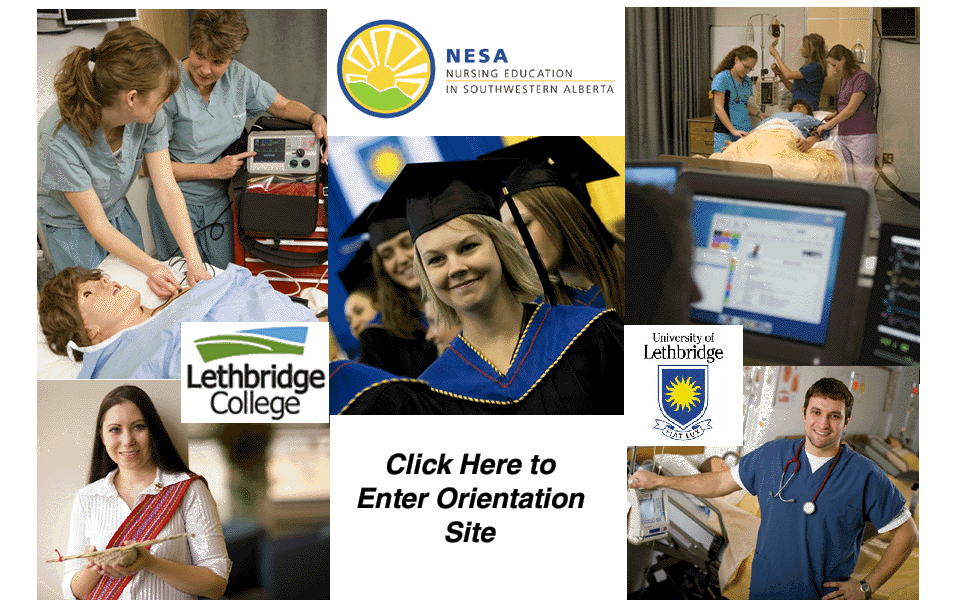 NESA Orientation Site